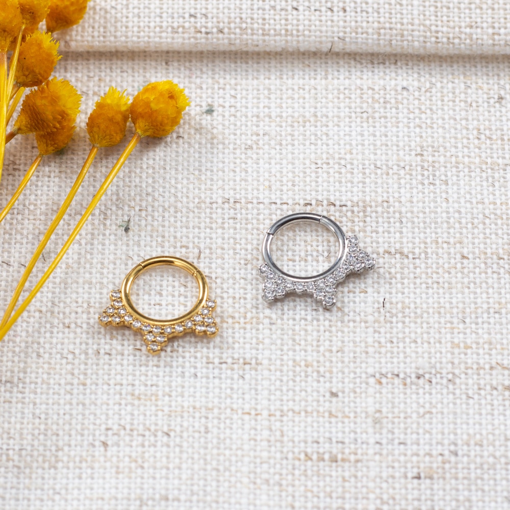 Piercing Argola Segmento Articulado Aço Cirúrgico Zircônia Cravejada ...